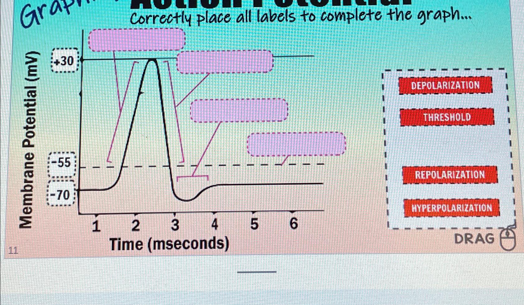 correctly place all labels to complete the | Chegg.com