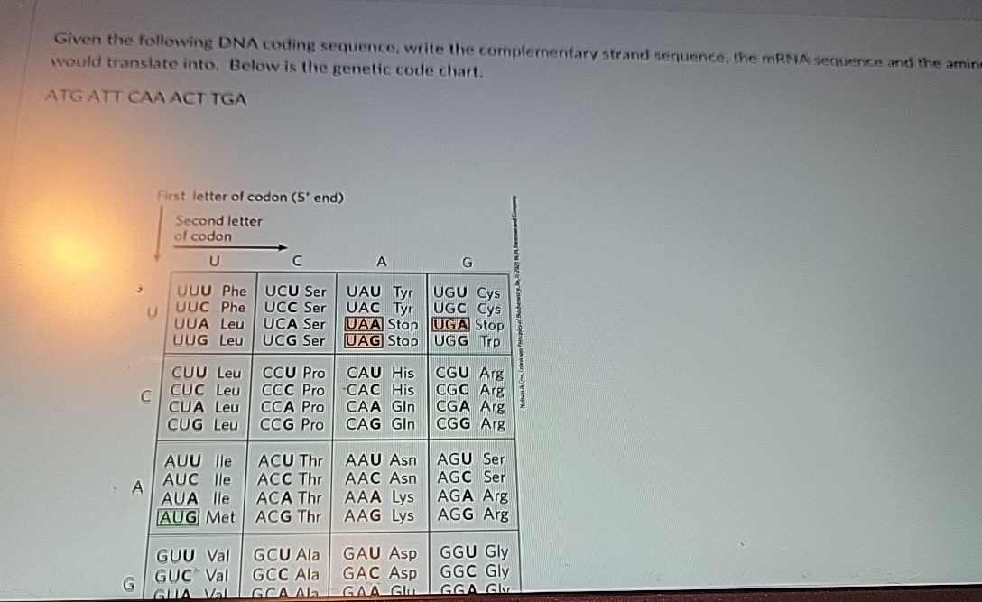 Solved Given the following DNA coding sequence, write the | Chegg.com