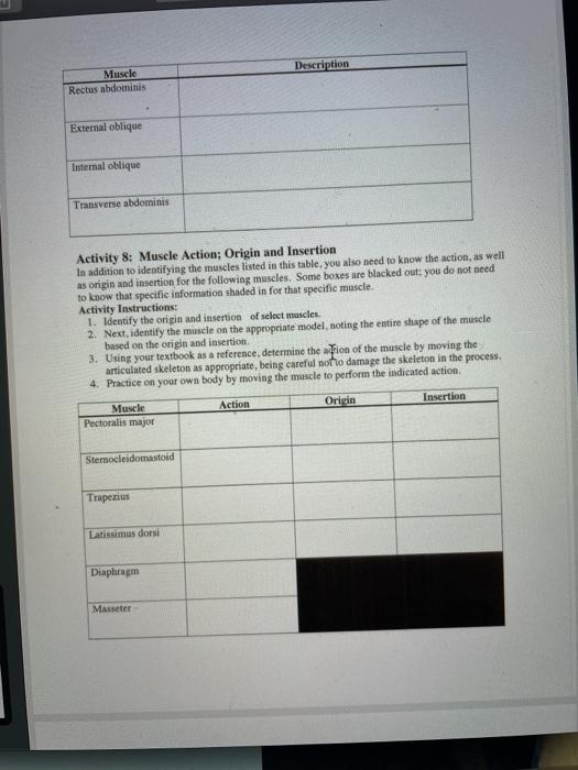 Solved Description Muscle Rectus abdominis External oblique | Chegg.com