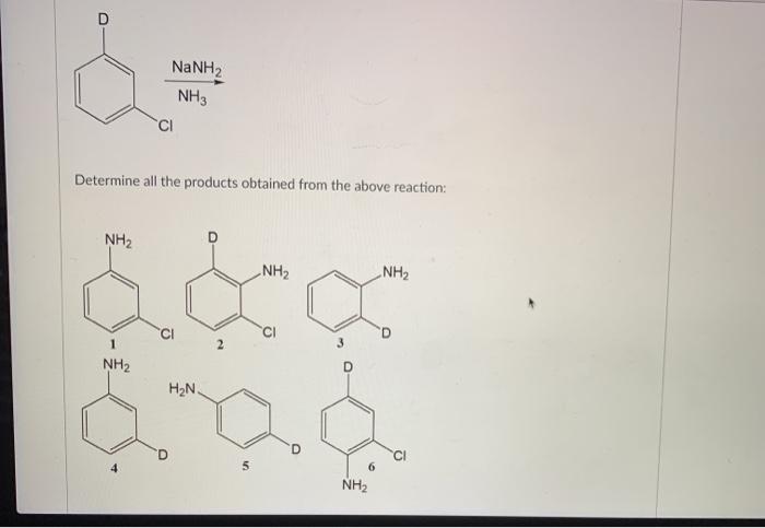 Solved NaNH2 NH3 CI Determine all the products obtained from | Chegg.com