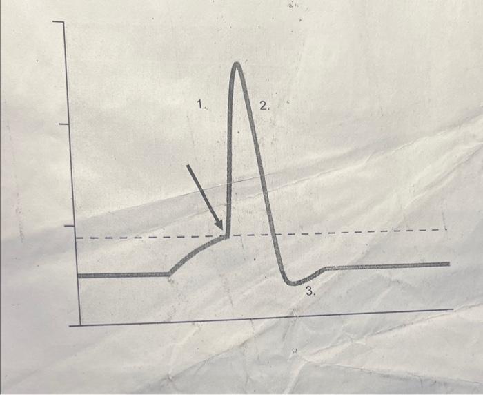 Solved Indicate on the graph what line represents the | Chegg.com