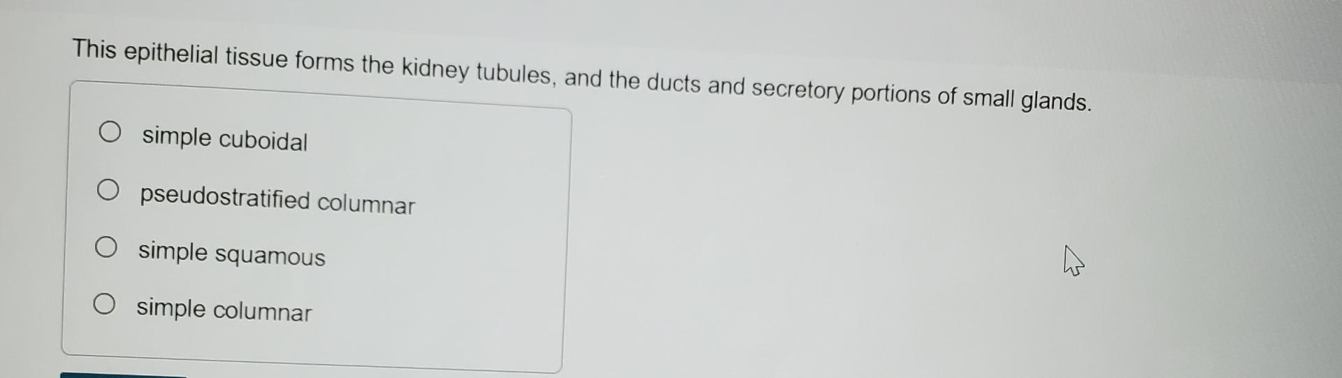 Solved This epithelial tissue forms the kidney tubules, and | Chegg.com