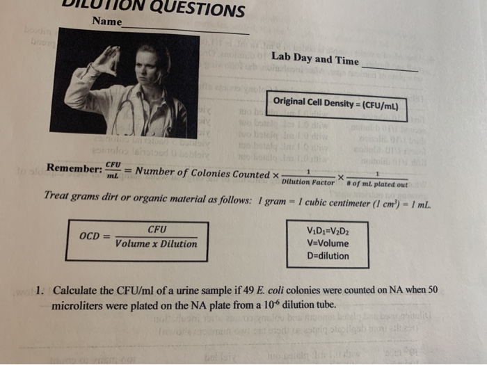 Solved QUESTIONS Name Lab Day and Time Original Cell Density | Chegg.com