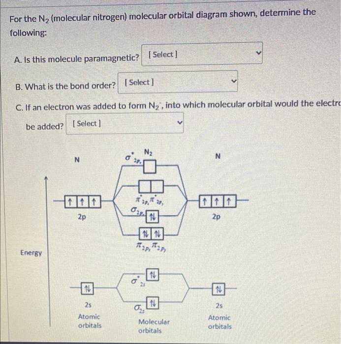Solved For the N2 (molecular nitrogen) molecular orbital | Chegg.com