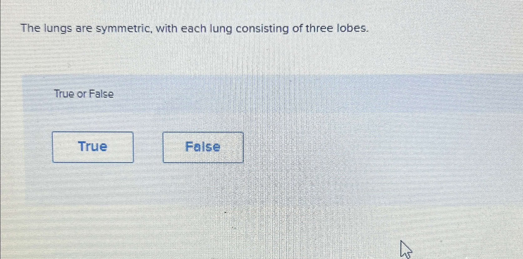 Solved The lungs are symmetric, with each lung consisting of | Chegg.com