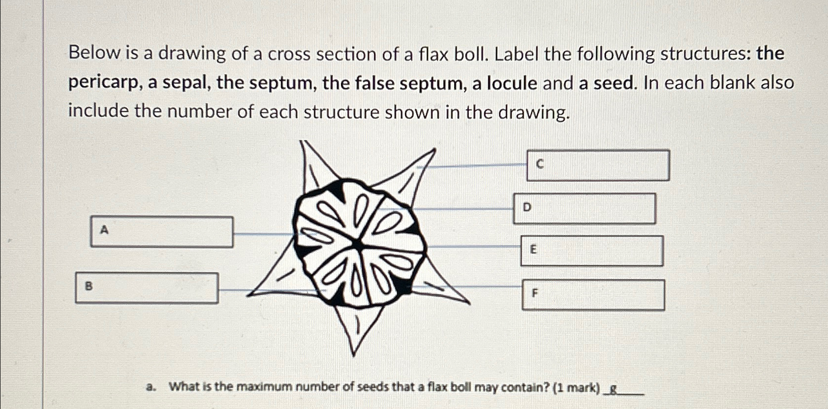 Solved Below is a drawing of a cross section of a flax boll. | Chegg.com