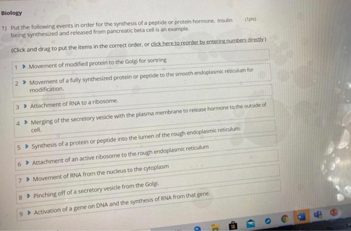 Solved Biology 1) Put the following events in order for the | Chegg.com