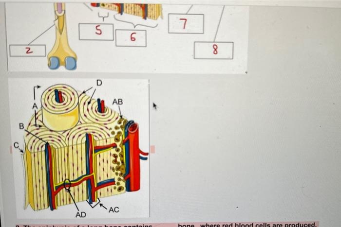 Solved 1. What are the names of the following structures? | Chegg.com