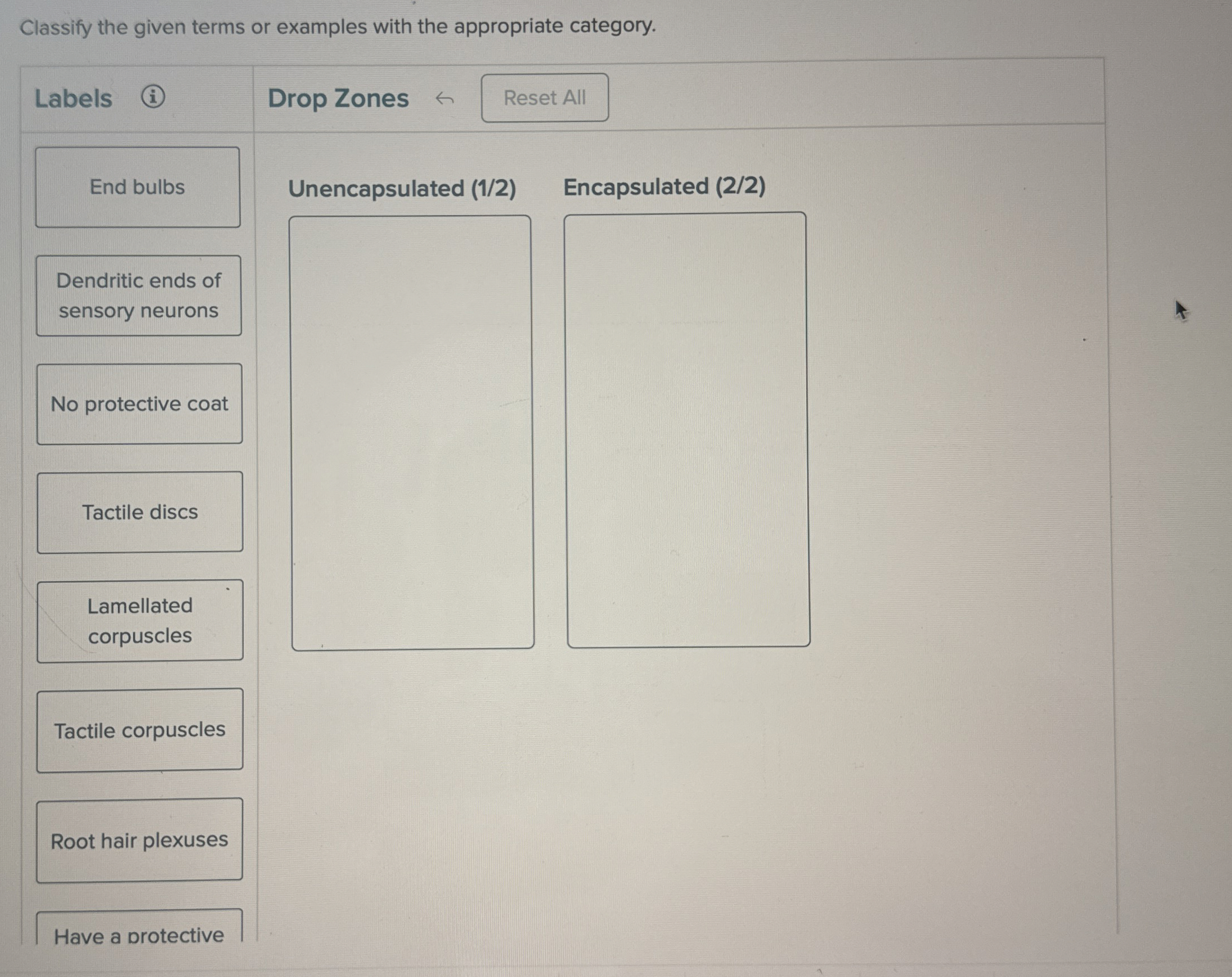 Solved Classify the given terms or examples with the | Chegg.com