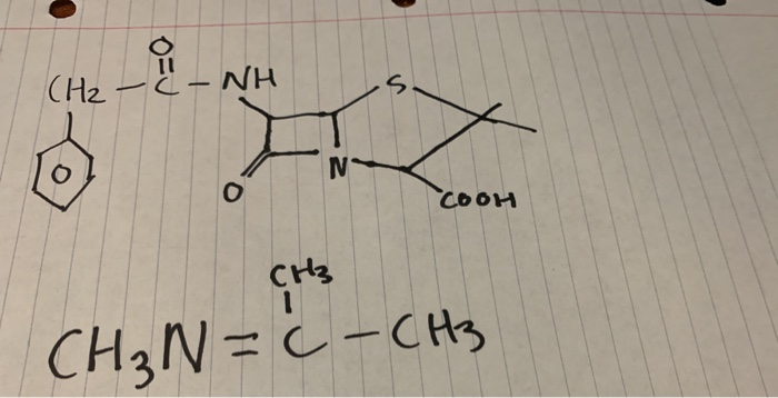 Solved for 1 and 2, circle the functional groups, ID the | Chegg.com