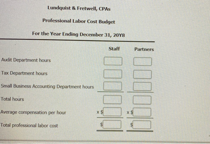 Solved Professional Labor Cost Budget for a Service Company | Chegg.com