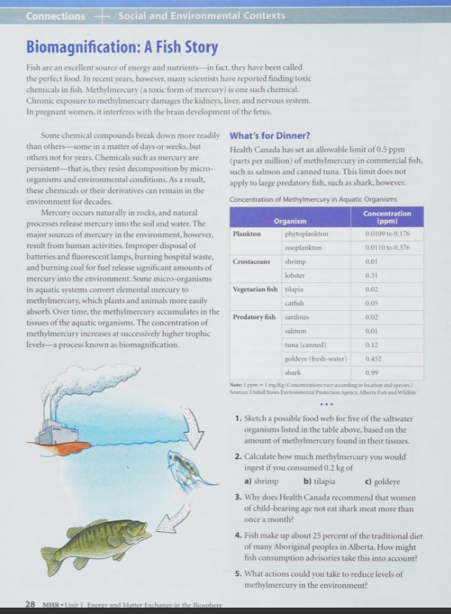 Solved Please read the Biomagnification: Fish Story on page | Chegg.com