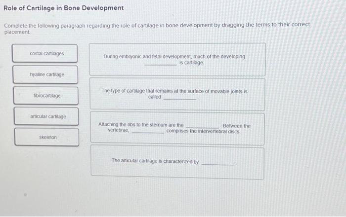 Solved Role of Cartilage in Bone Development Complete the | Chegg.com