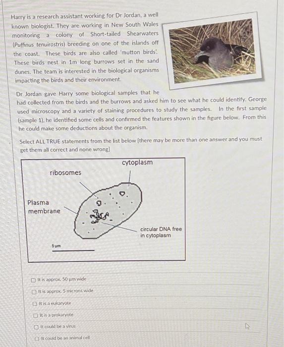 Solved Harry used a microscope to investigate the cell shown | Chegg.com