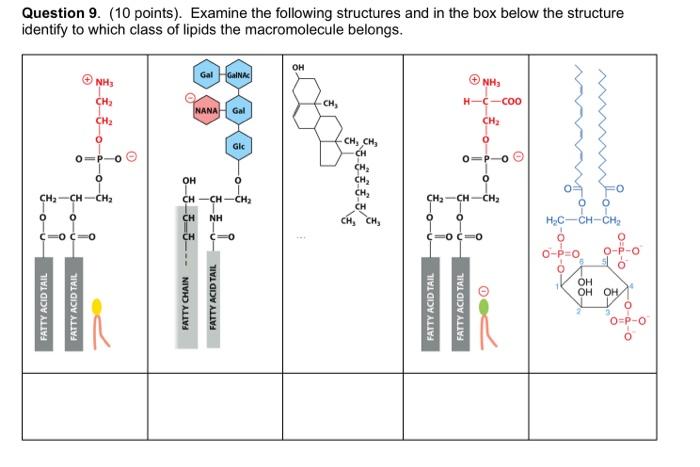 Solved Question 9. (10 points). Examine the following | Chegg.com Solved Question 9. (10 points). Examine the following | Chegg.com