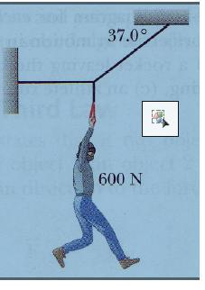 Solved Find the tension in each cable supporting the 600 N | Chegg.com