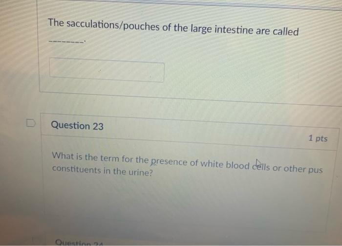 Solved The sacculations/pouches of the large intestine are | Chegg.com