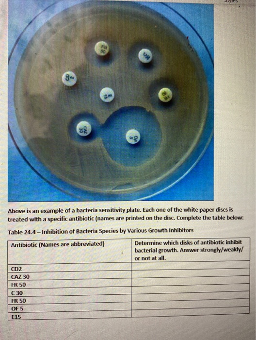 Solved B $ Above is an example of a bacteria sensitivity | Chegg.com