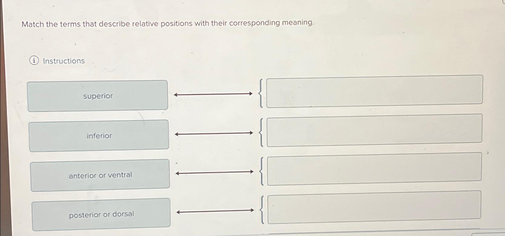 Solved Match the terms that describe relative positions with | Chegg.com Solved Match the terms that describe relative positions with | Chegg.com