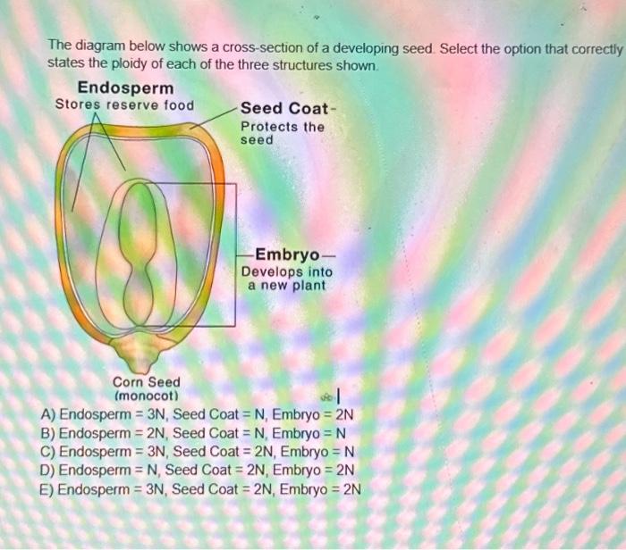 Solved The diagram below shows a cross-section of a | Chegg.com