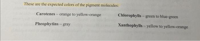 Solved 4. Rank the four types of spinach pigments in order | Chegg.com