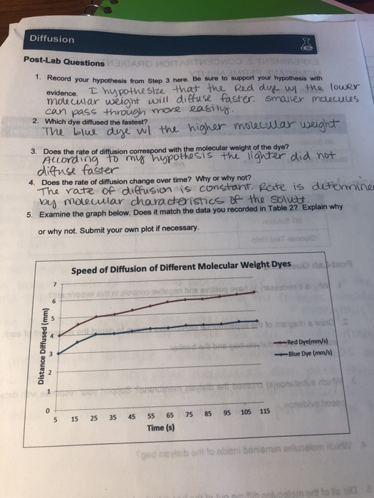 Diffusion evidence. 8 Post-Lab questions Изоляе | Chegg.com