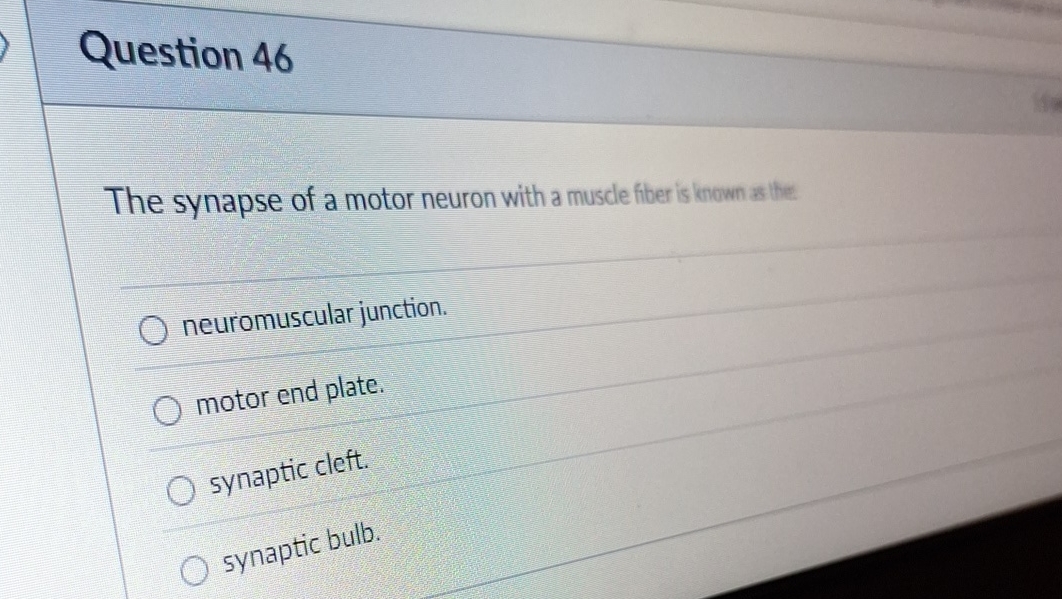 Solved Question 46The synapse of a motor neuron with a | Chegg.com