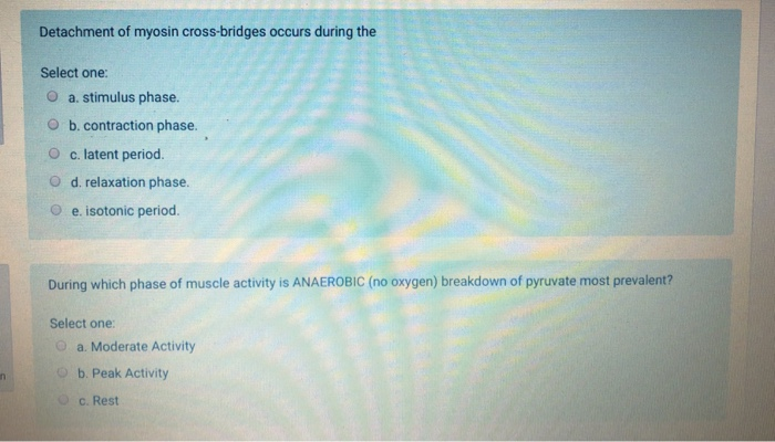 Solved Detachment of myosin cross-bridges occurs during the | Chegg.com