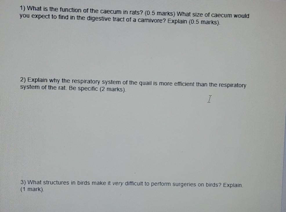 Solved 1) What is the function of the caecum in rats? (0.5 | Chegg.com