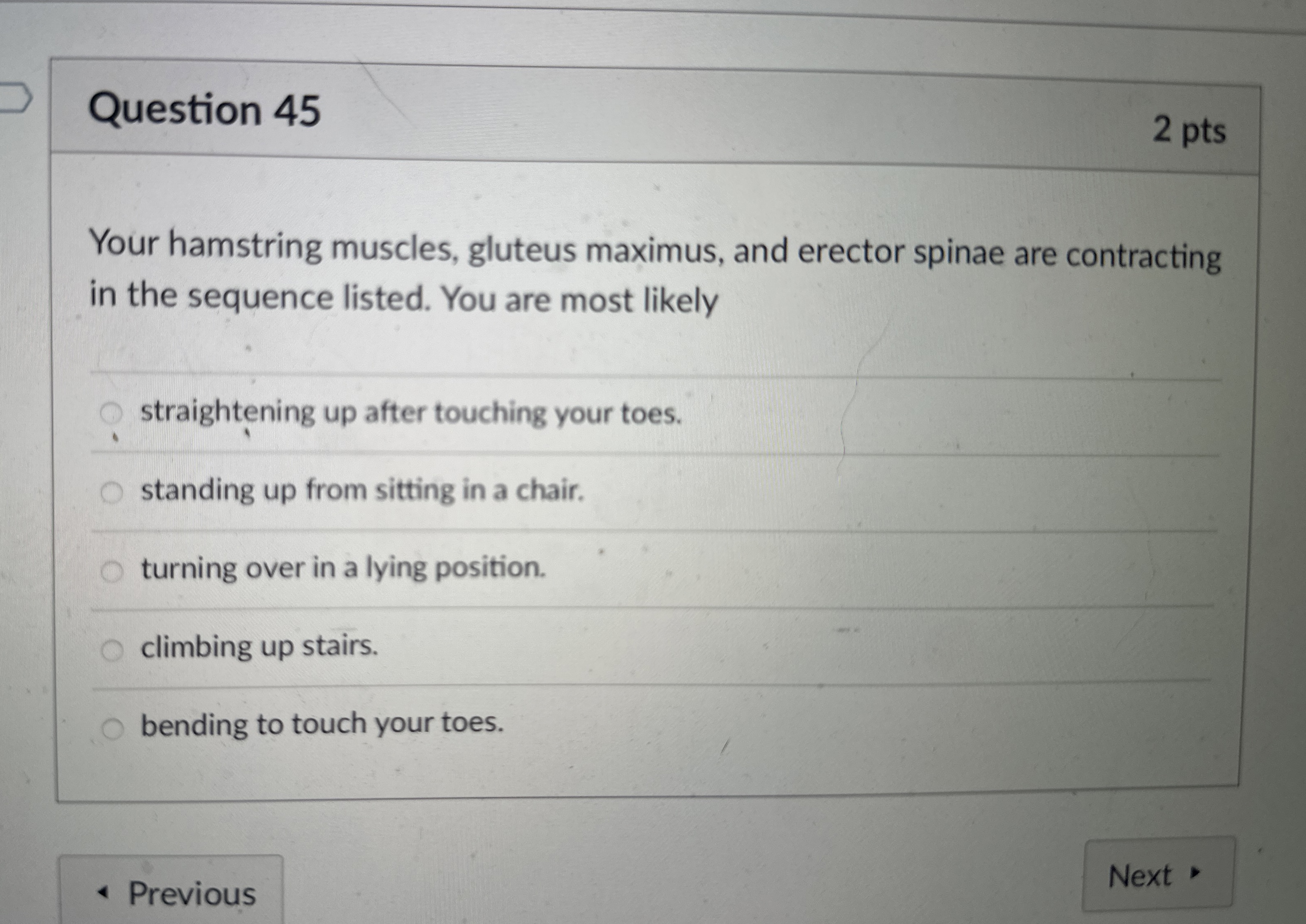 Solved Question 452 ptsYour hamstring muscles, gluteus | Chegg.com Solved Question 452 ptsYour hamstring muscles, gluteus | Chegg.com