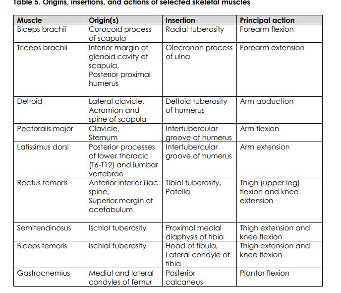 Solved Iable 5 . ﻿Origins, insertions, and actions of | Chegg.com