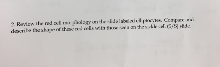 Solved 2. Review the red cell morphology on the slide | Chegg.com