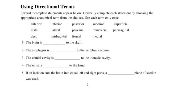 Solved Using Directional Terms Several incomplete statements | Chegg.com