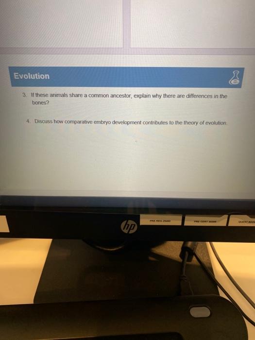 Solved Embryo Development: To create a PDF of your completed | Chegg.com