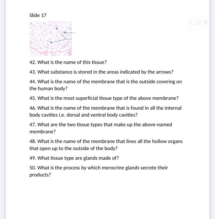 Solved Tissues/Histology Lab Make sure you have completed | Chegg.com