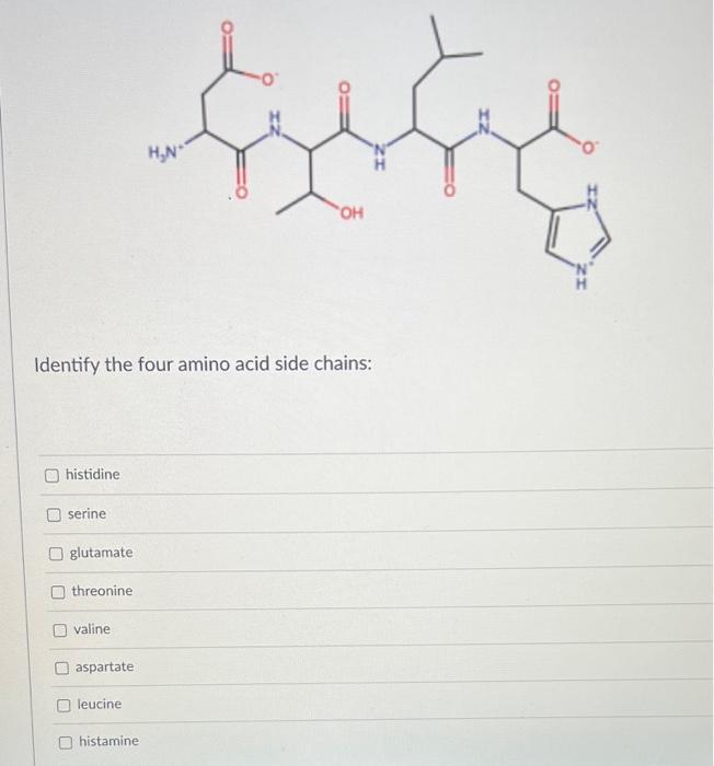 Solved Identify the four amino acid side chains: histidine | Chegg.com