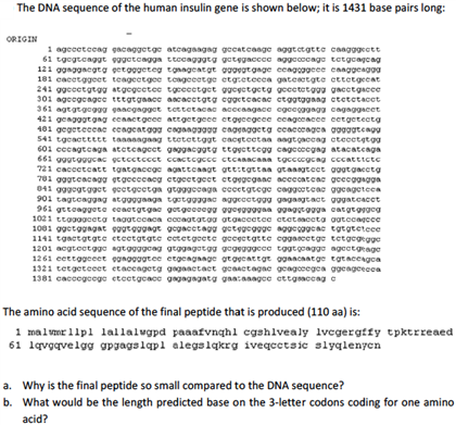 Solved The DNA sequence of the human insulin gene is shown | Chegg.com