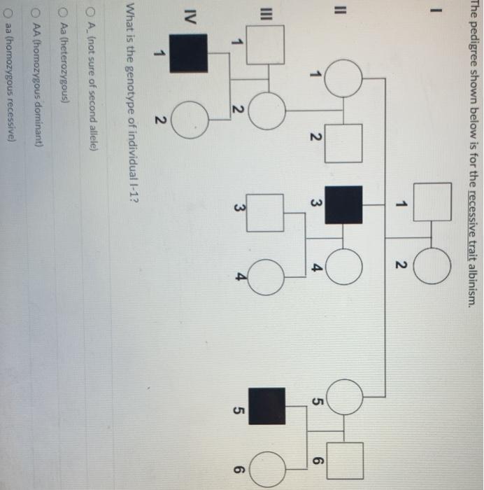 Solved The pedigree shown below is for the recessive trait | Chegg.com