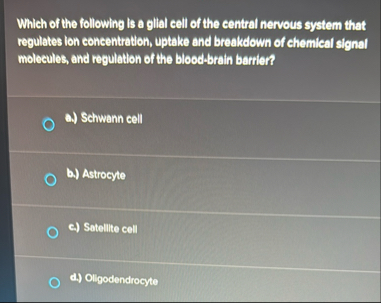 Solved Which of the following is a glial cell of the central | Chegg.com