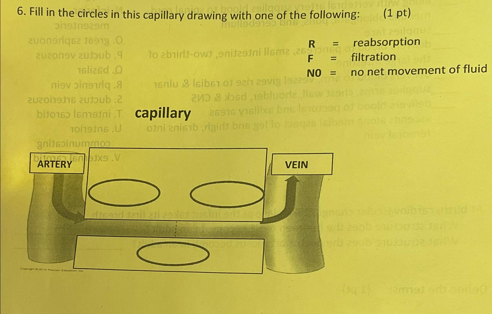 Solved Fill in the circles in this capillary drawing with | Chegg.com