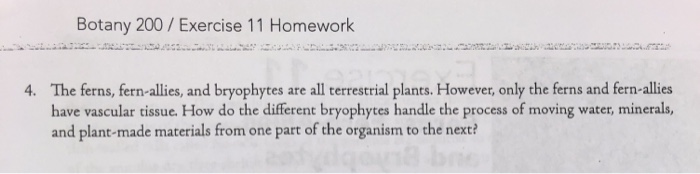 Solved Botany 200 / Exercise 11 Homework 4. The ferns, | Chegg.com