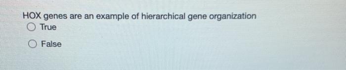 Solved HOX genes are an example of hierarchical gene | Chegg.com