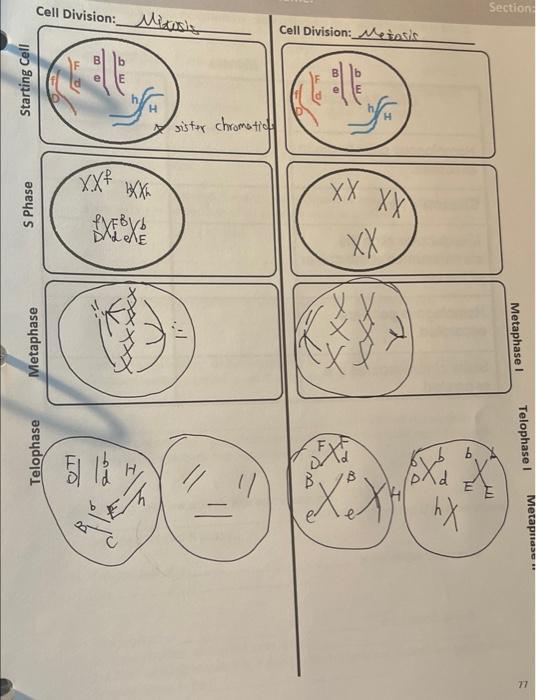 Solved On the following page, draw the sequential steps of | Chegg.com