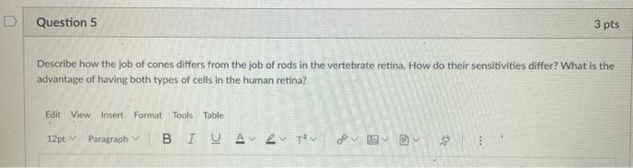 Solved Question 5 3 pts Describe how the job of cones | Chegg.com