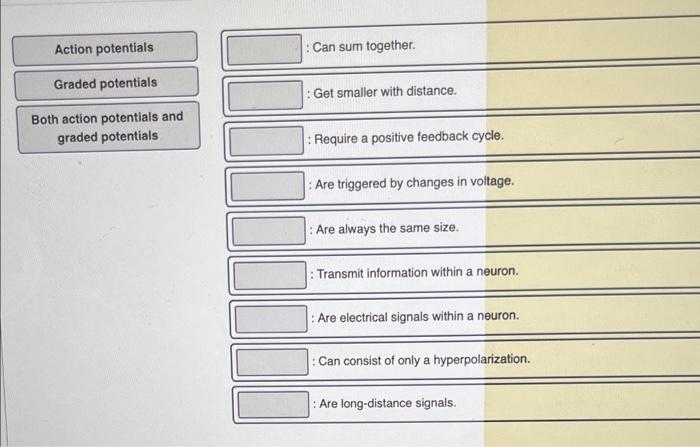 Solved Action potentials Can sum together. Graded potentials | Chegg.com