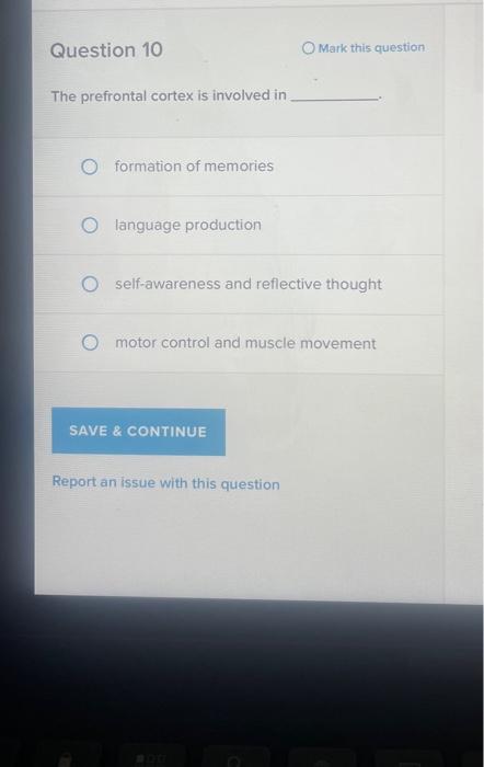 Solved The prefrontal cortex is involved in formation of | Chegg.com