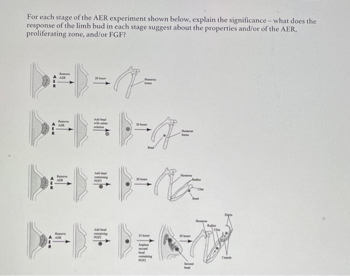 For each stage of the AER experiment shown below, | Chegg.com