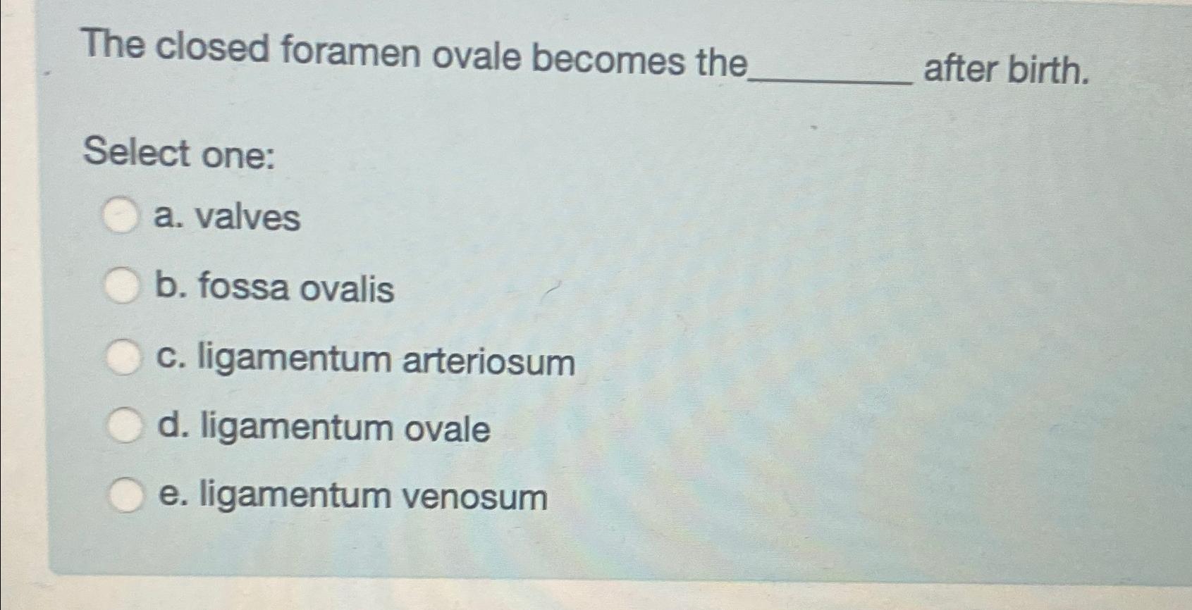 The closed foramen ovale becomes the after | Chegg.com