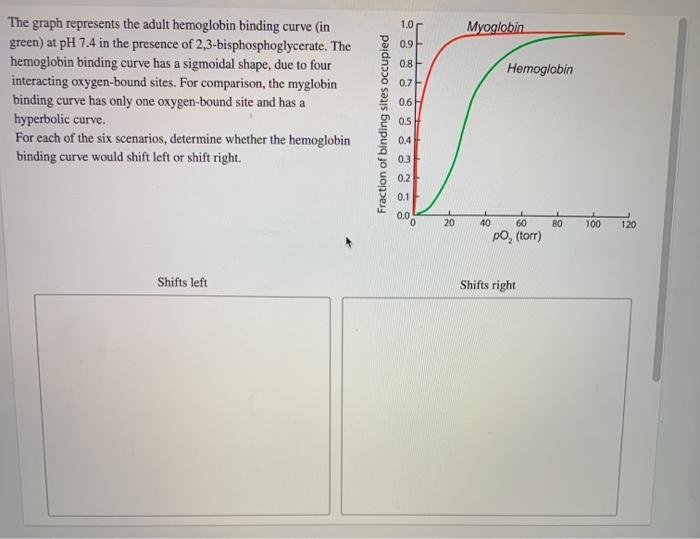 Solved 1.0 Myoglobin 0.9 0.8 1 Hemoglobin 0.7 The graph | Chegg.com