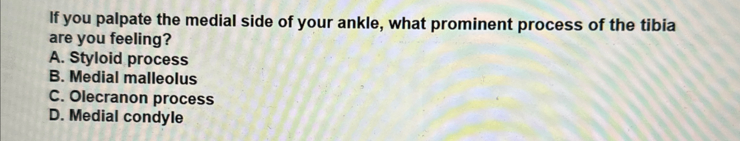 Solved If you palpate the medial side of your ankle, what | Chegg.com